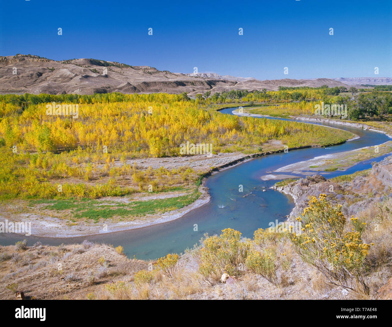 fall colors along the judith river near winifred, montana Stock Photo ...