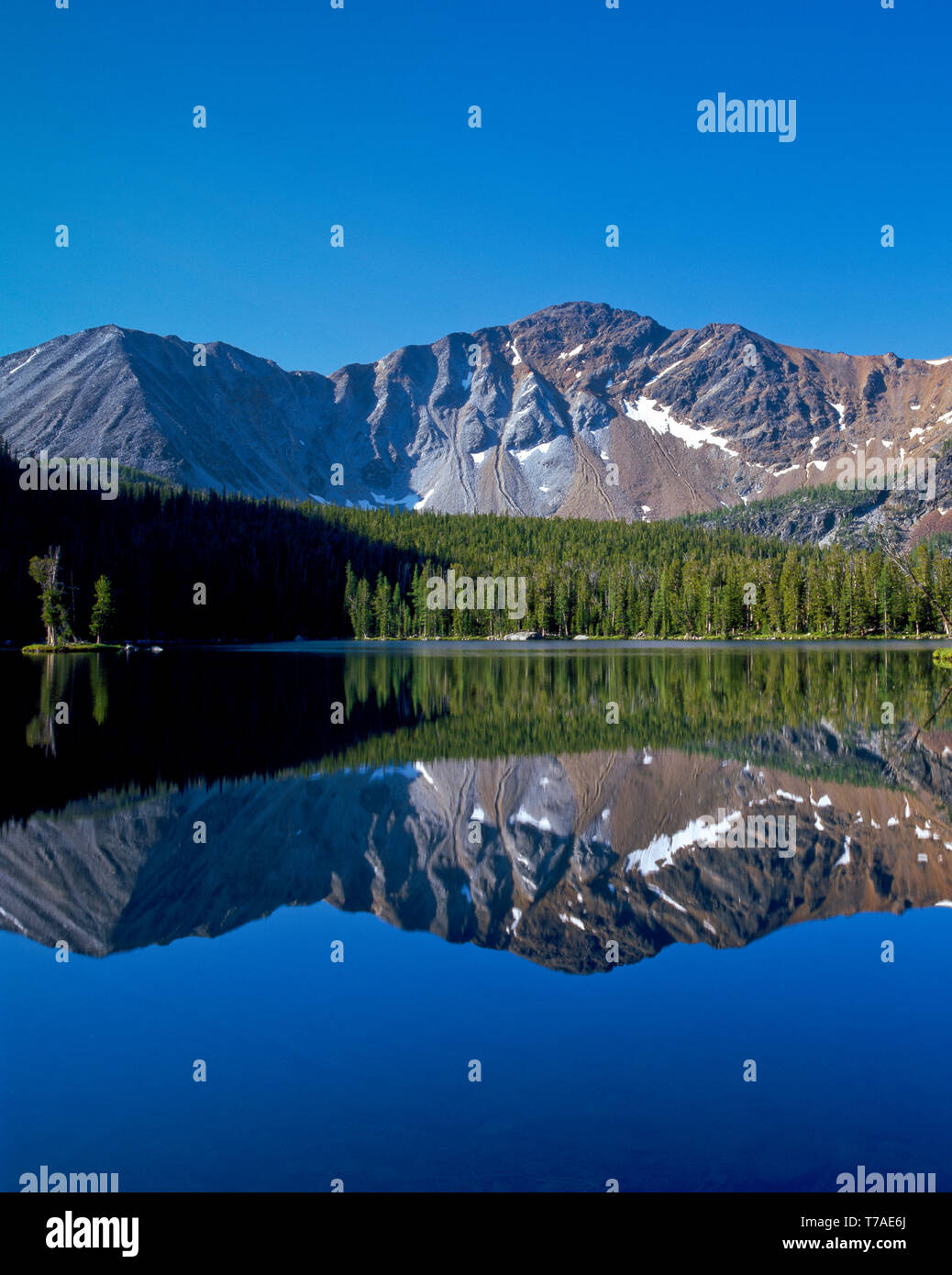 Anaconda range hi-res stock photography and images - Alamy