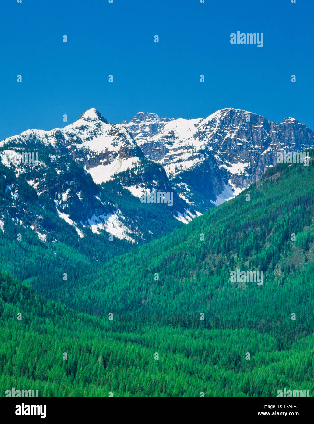 unnamed peaks of the mission mountains above elk creek valley near ...