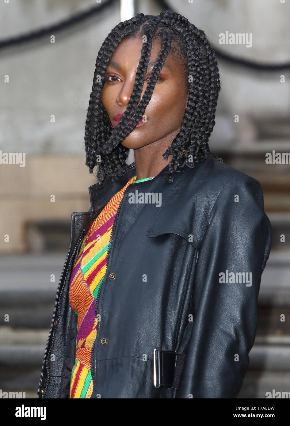 'Our Planet' World Premiere held at the Natural History Museum ...