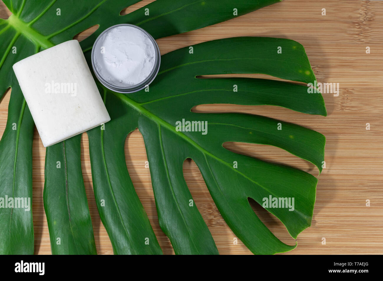 Generic containers of Plant Based Beauty, vegan lifestyle, clean ...