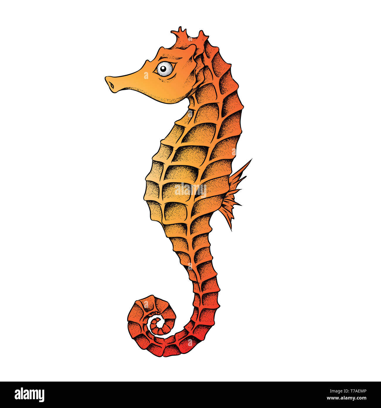 Vector Illustration of a Seahorse isolated on a white background Stock ...