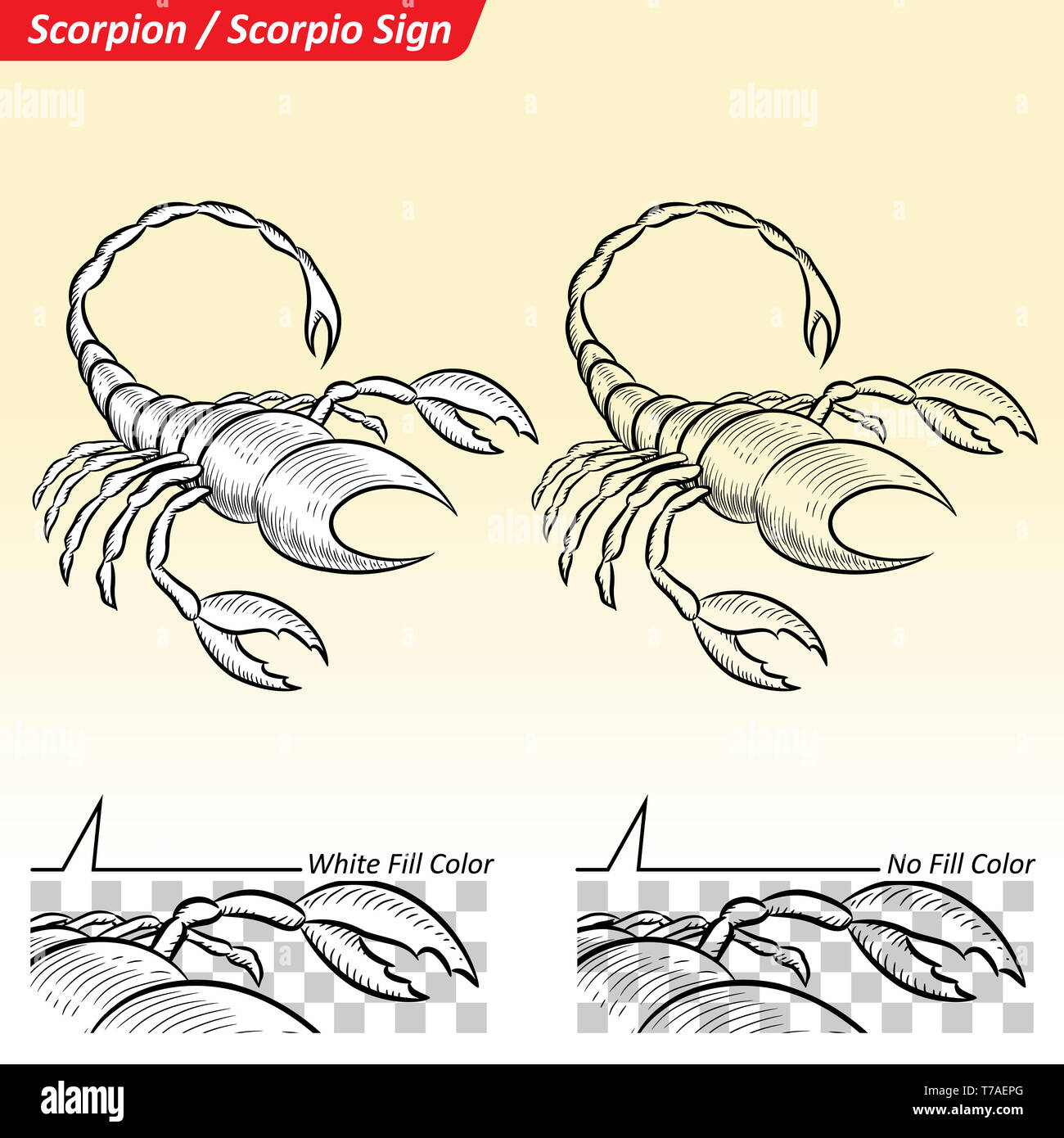 Vector Illustration of Scorpio Astrological Zodiac Star Sign Sketch ...