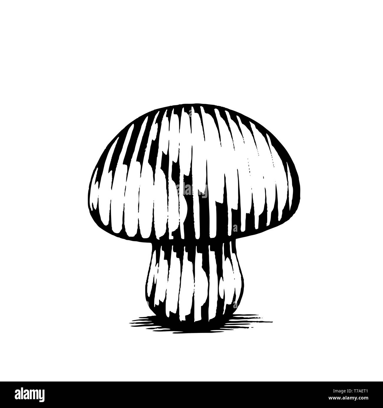 Vector Illustration of a Scratchboard Style Ink Drawing of a Mushroom ...