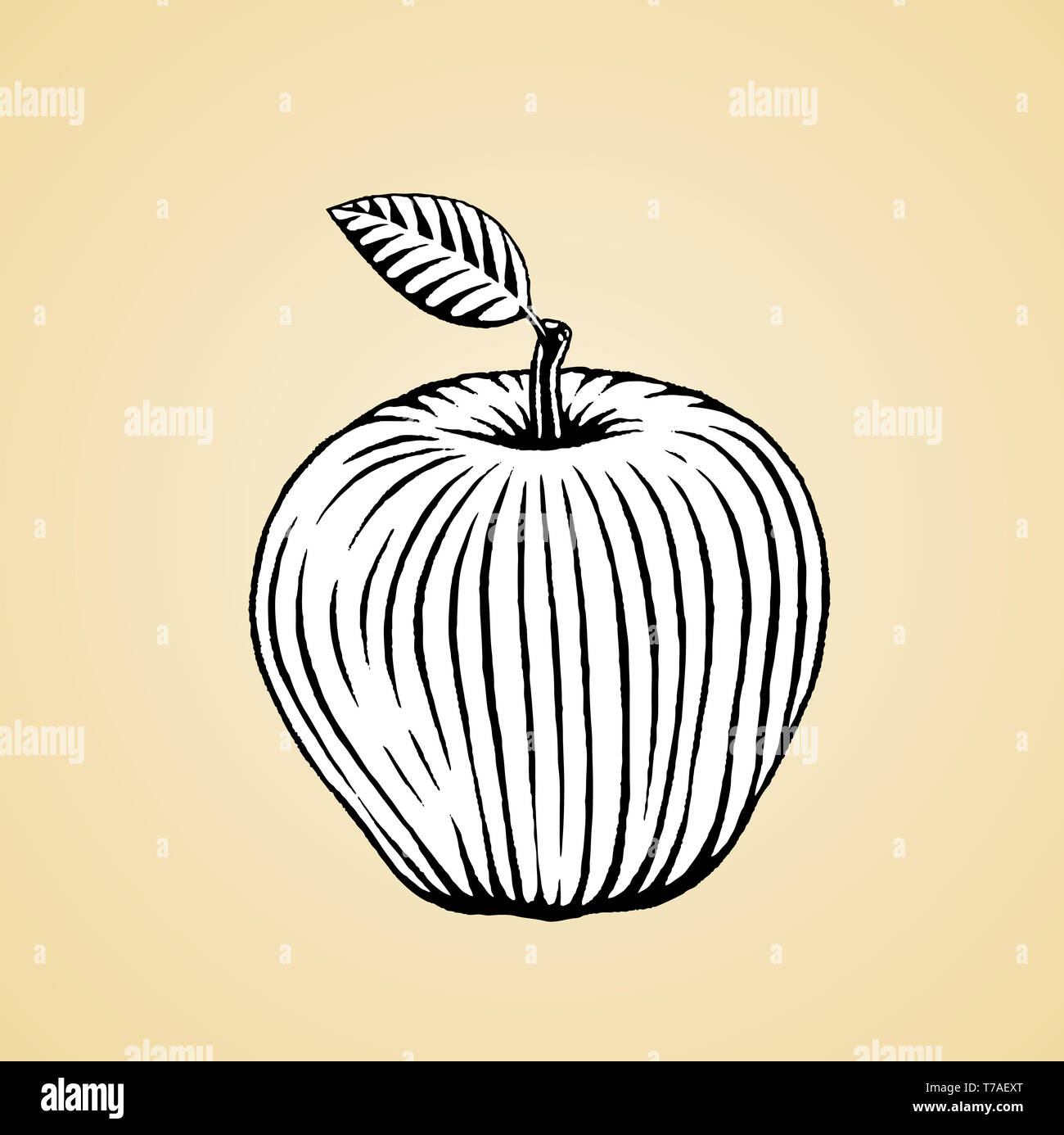 Vector Illustration of a Scratchboard Style Ink Drawing of an Apple ...