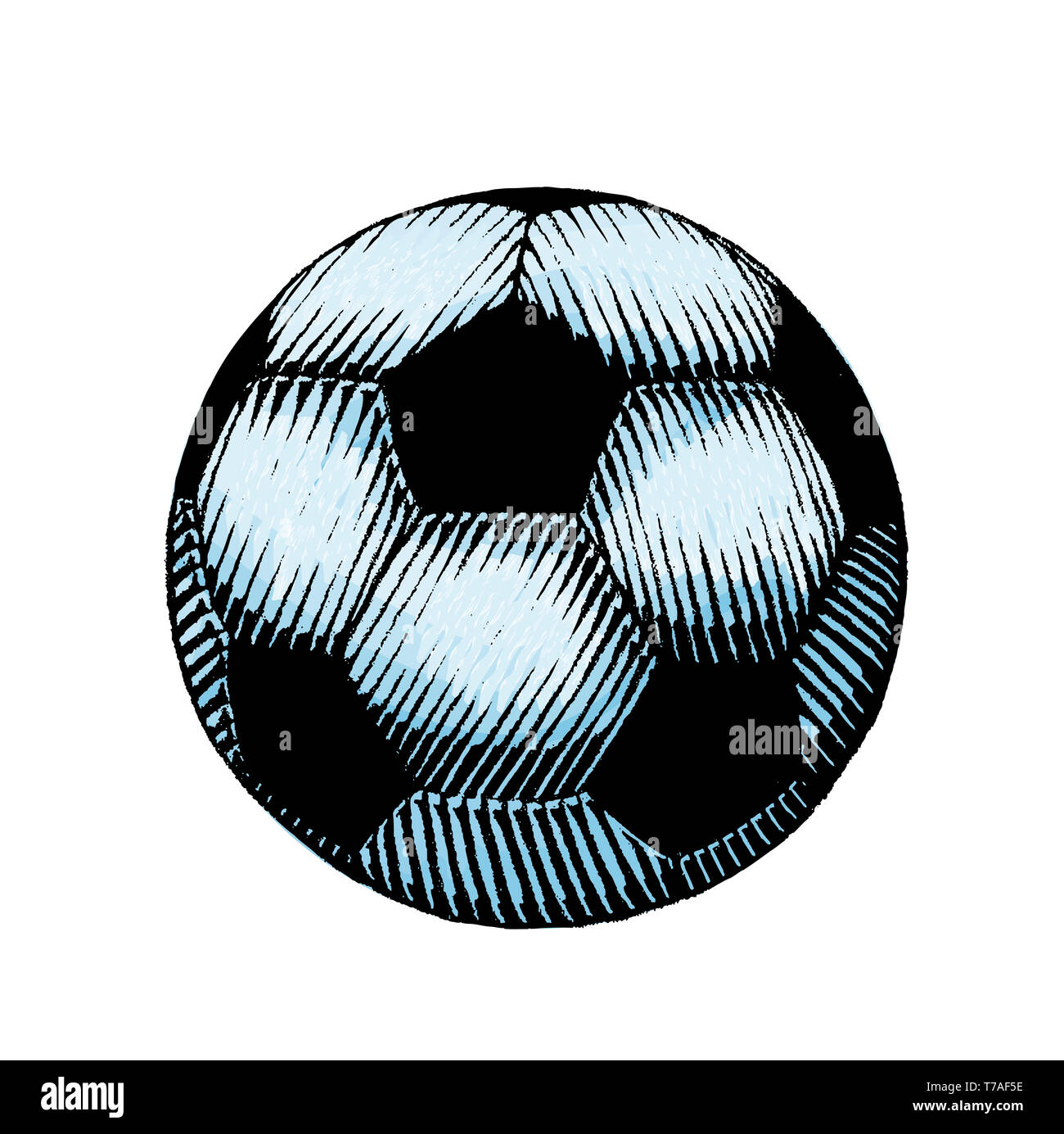 Vector Illustration of a Scratchboard Style Ink and Watercolor Drawing ...