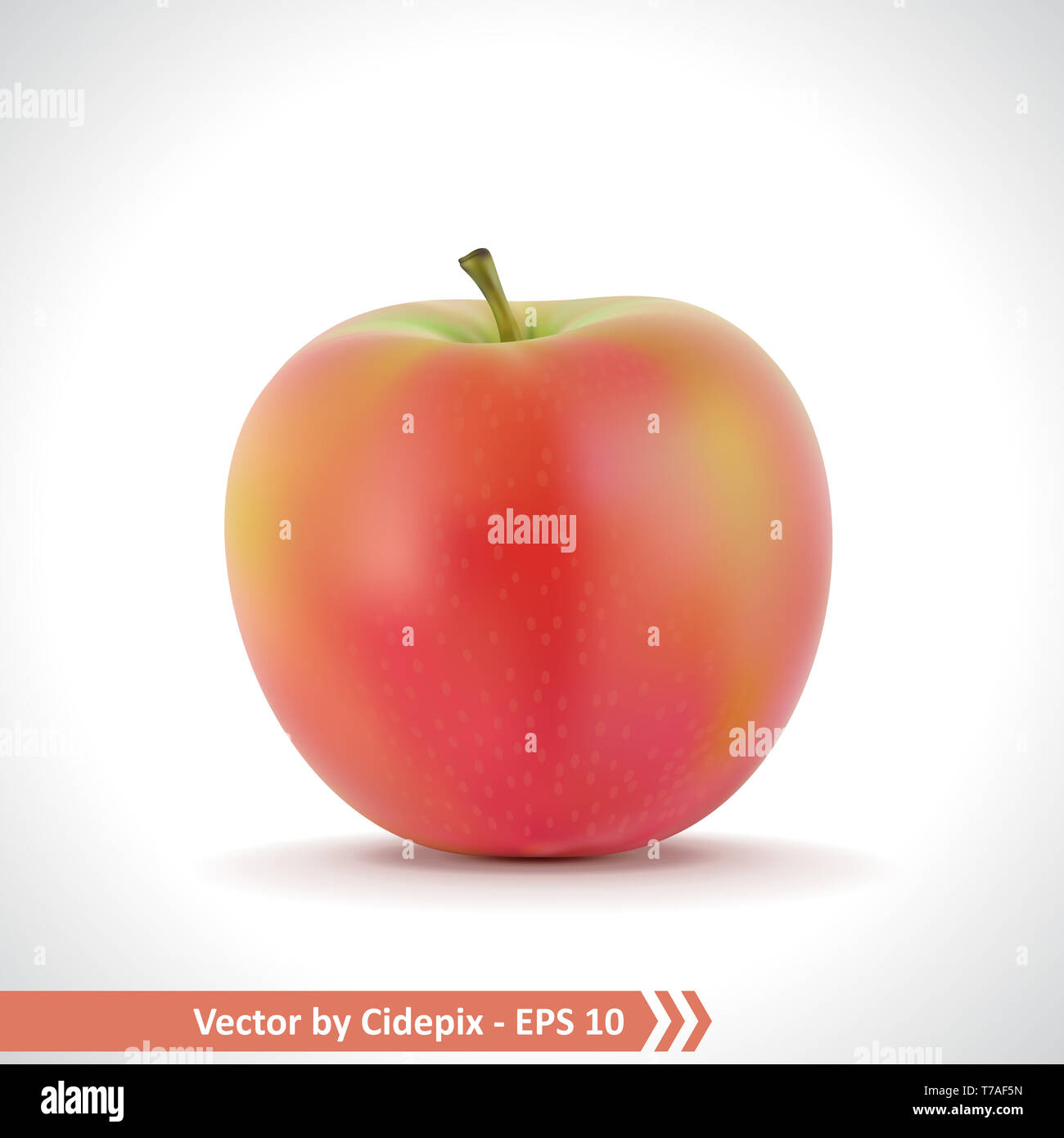 Gradient Mesh Vector Illustration of a Photo Realistic Red Apple Stock ...