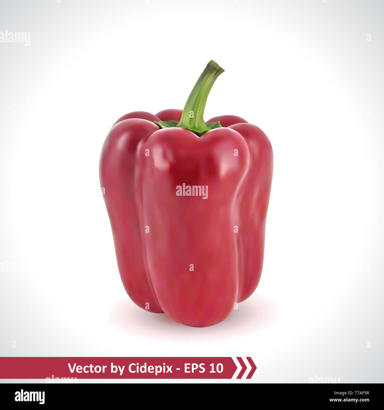 Gradient Mesh Vector Illustration of a Photo Realistic Red Pepper Stock ...