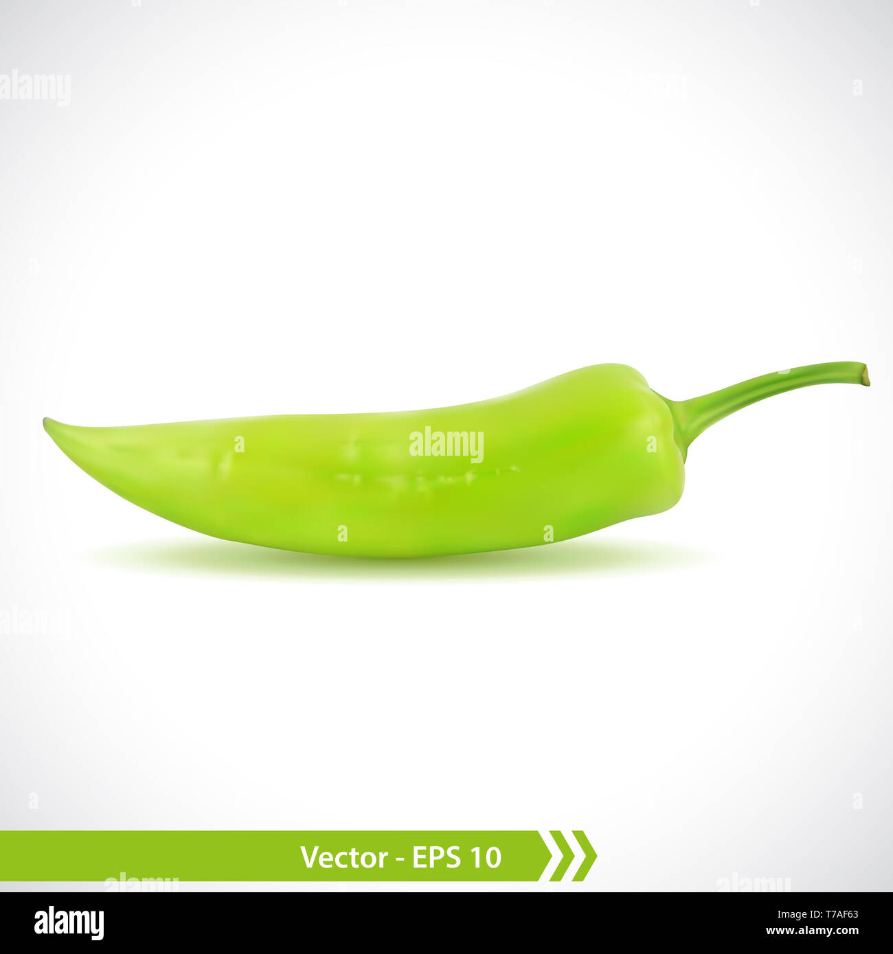 Vector Illustration of a Photo Realistic Green Pepper Stock Photo - Alamy