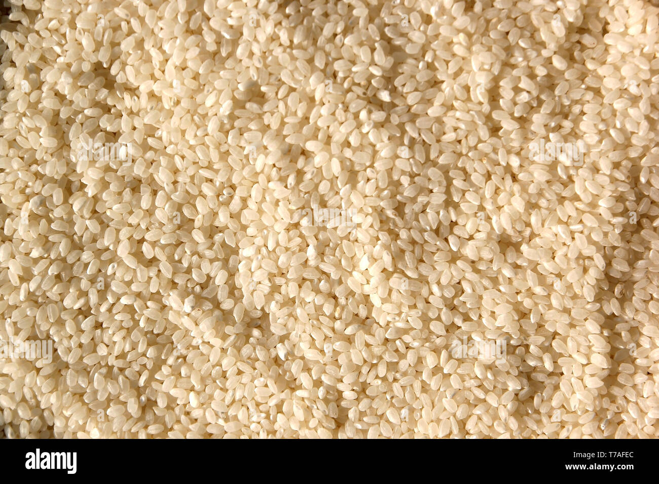 photo of uncooked japanese rice as background Stock Photo - Alamy