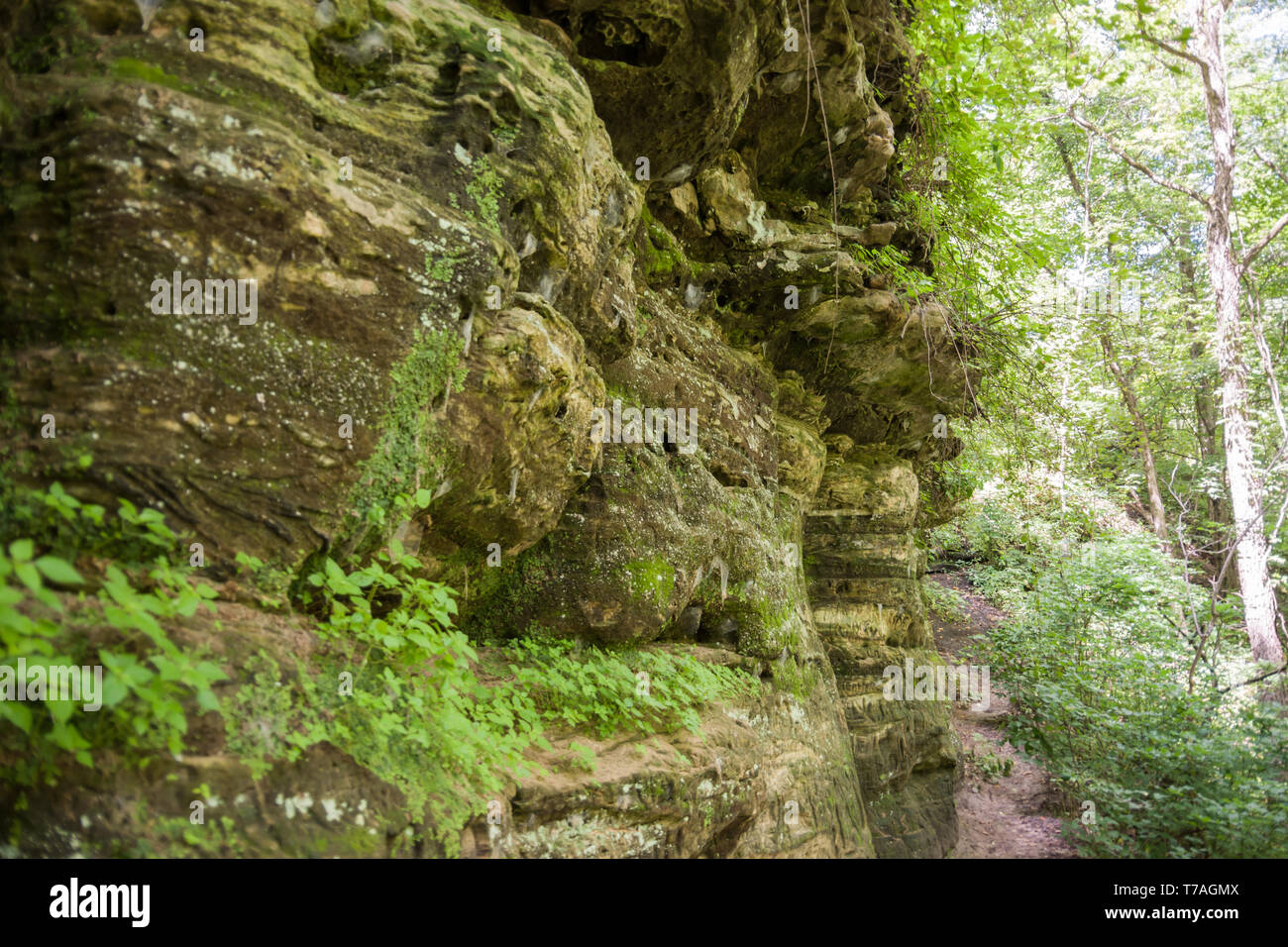 Minneopa state park hi-res stock photography and images - Alamy