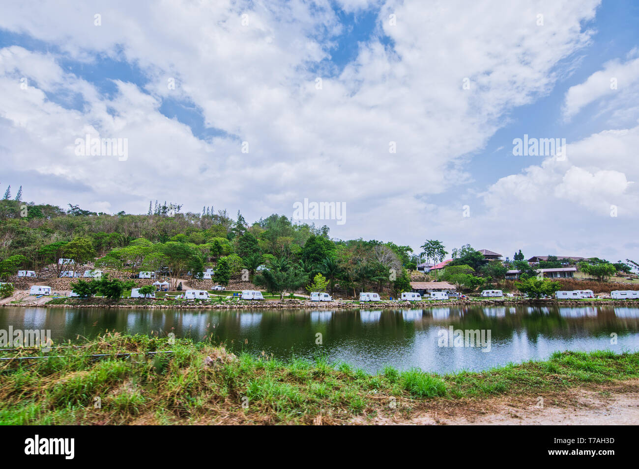 Nature view trees Stock Photo - Alamy
