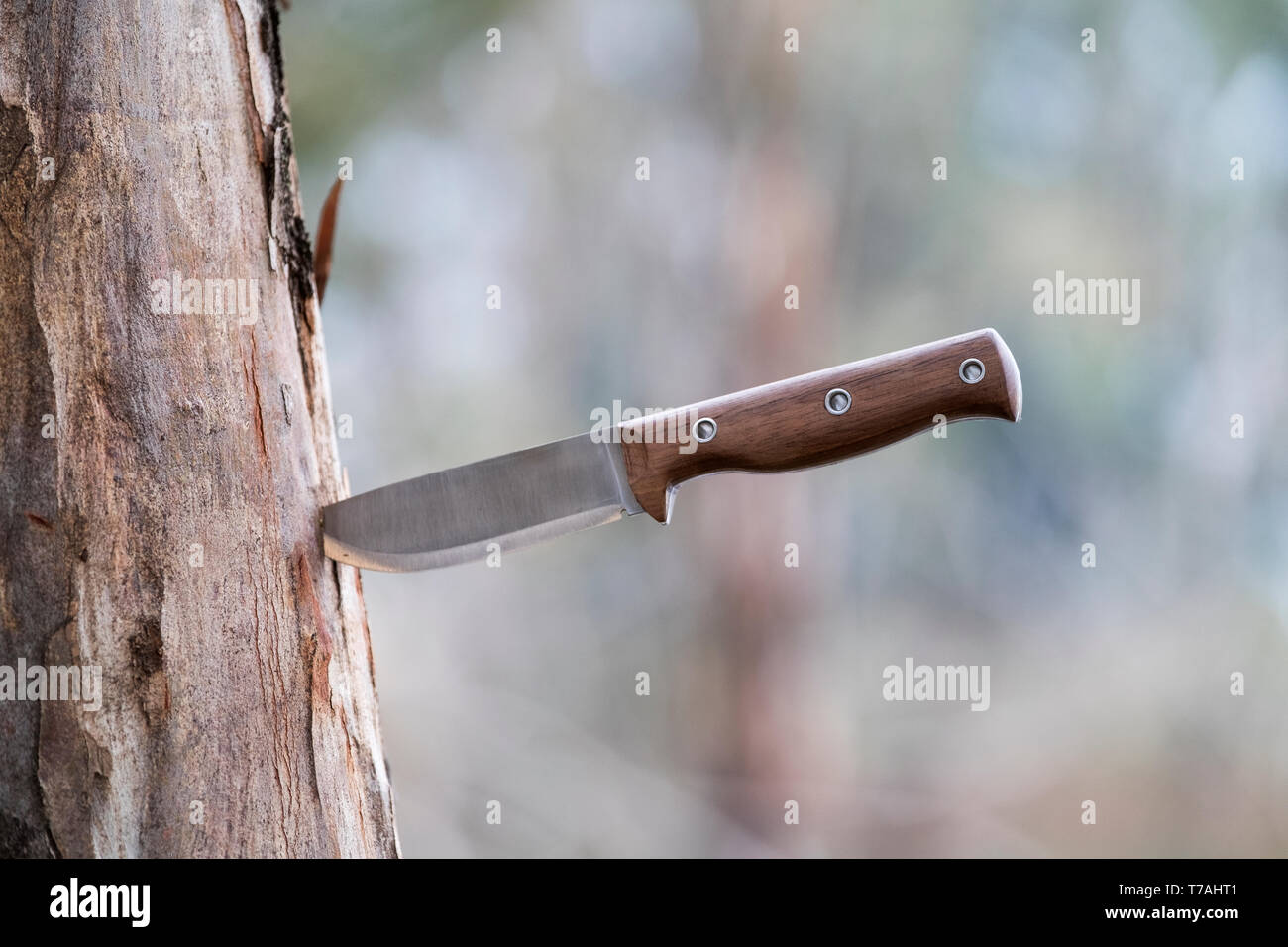 Sel reliant hi-res stock photography and images - Alamy