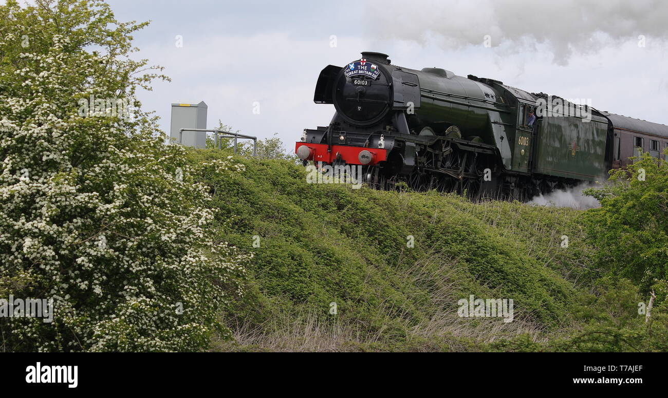 Steam train coming down the track Stock Photo - Alamy
