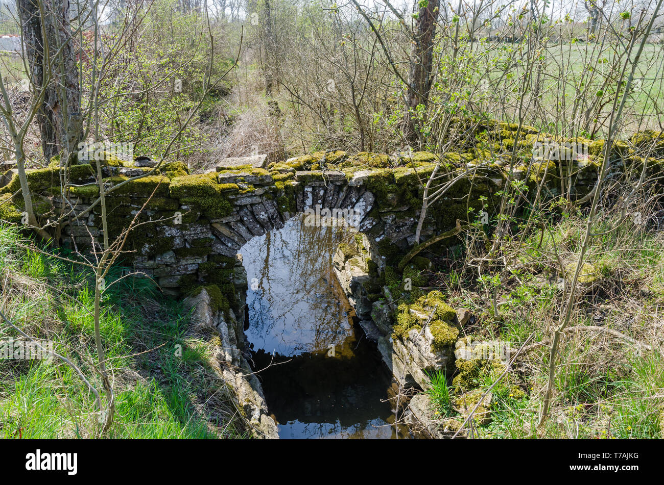 Moss on stone bridge hi-res stock photography and images - Alamy