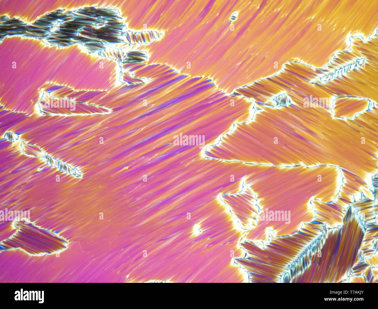 Liquid crystal in its liquid crystal state under polarized light ...