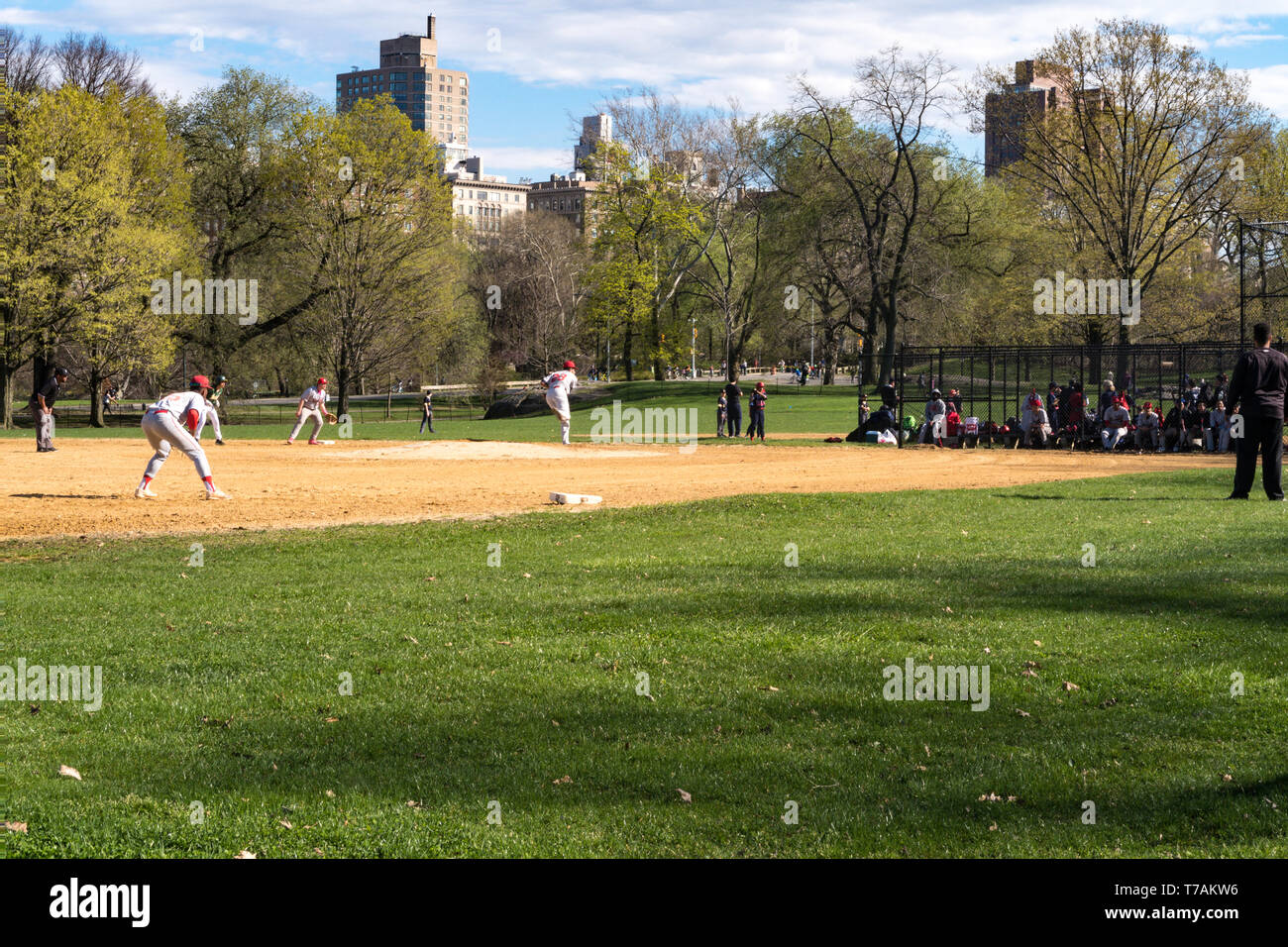 New york baseball central park hi-res stock photography and images - Alamy