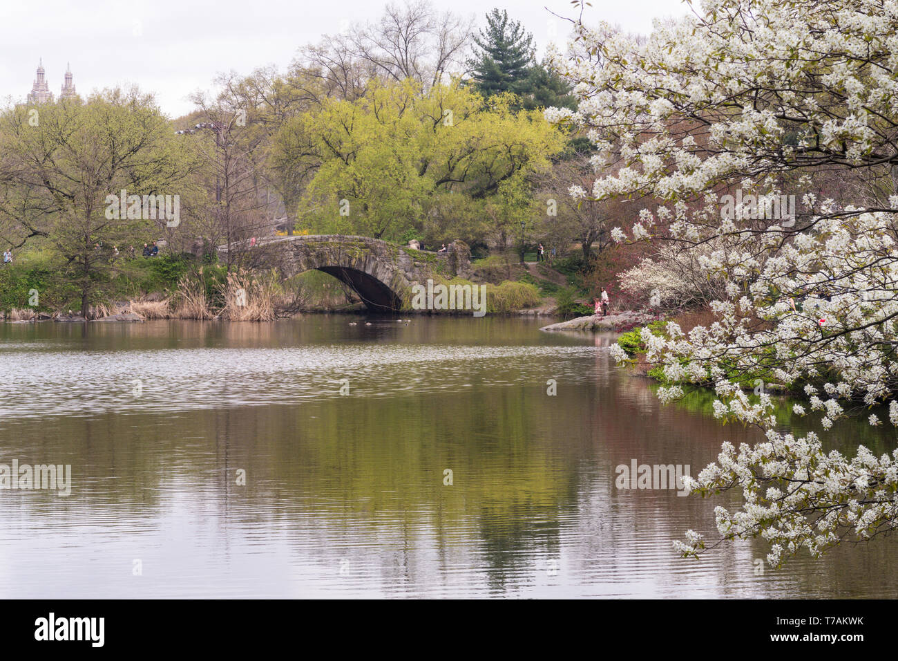 Gapstow Bridge in Central Park, NYC, USA Stock Photo - Alamy