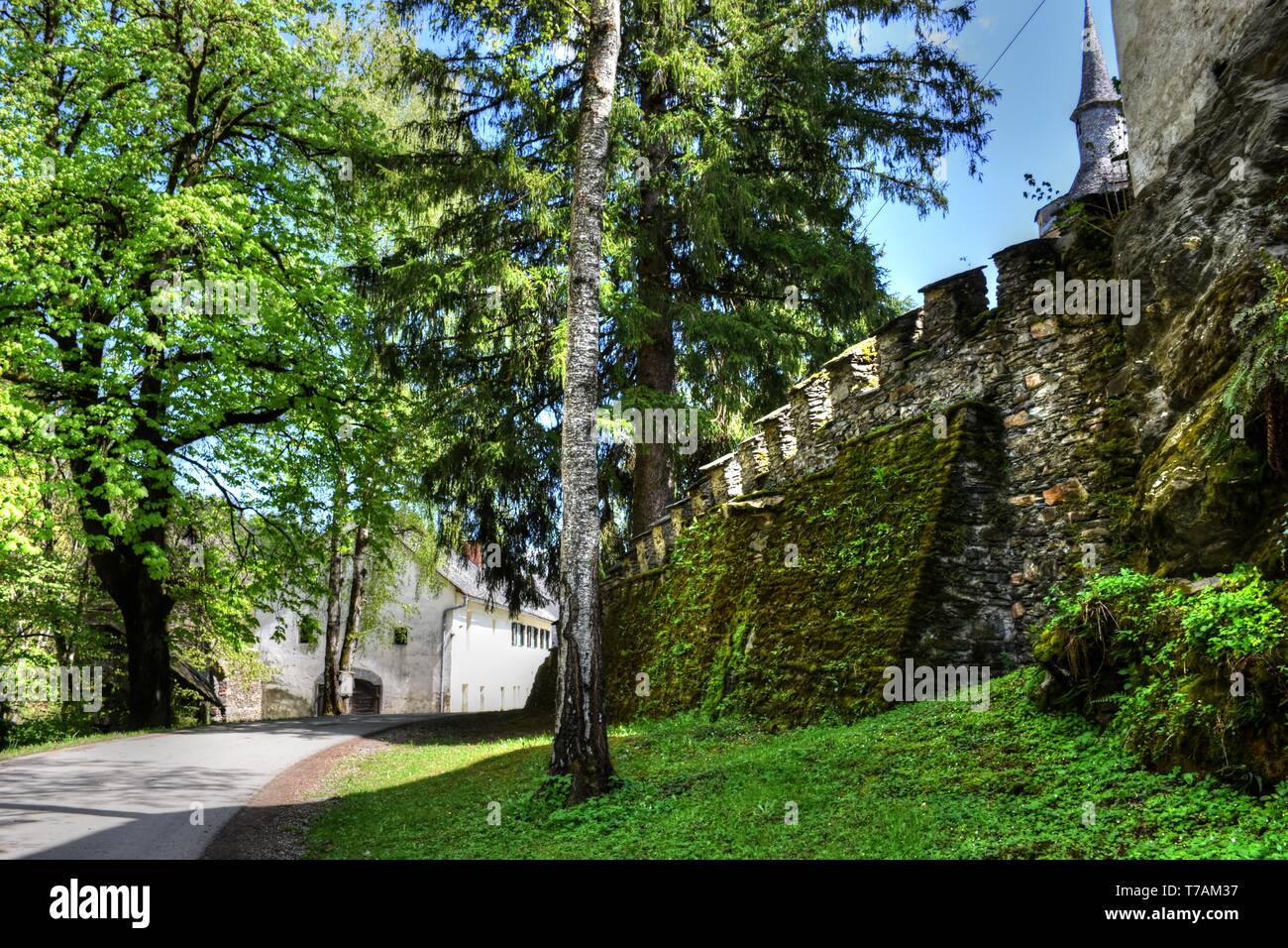 Schloss, Burg, Frauenstein, Kärnten, Sankt Veit, Glan, Sankt Veit an ...
