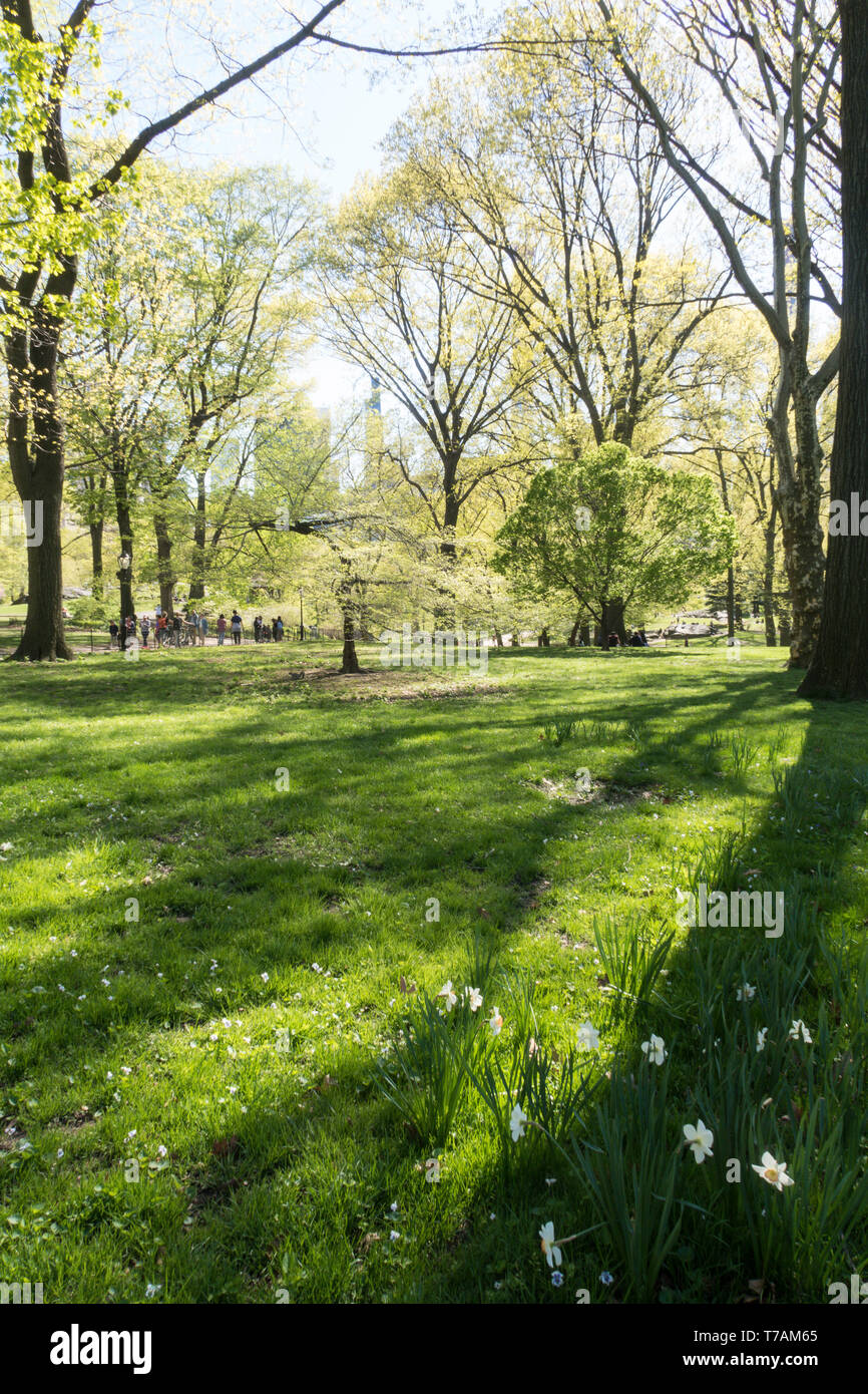 Nyc central park spring hi-res stock photography and images - Alamy