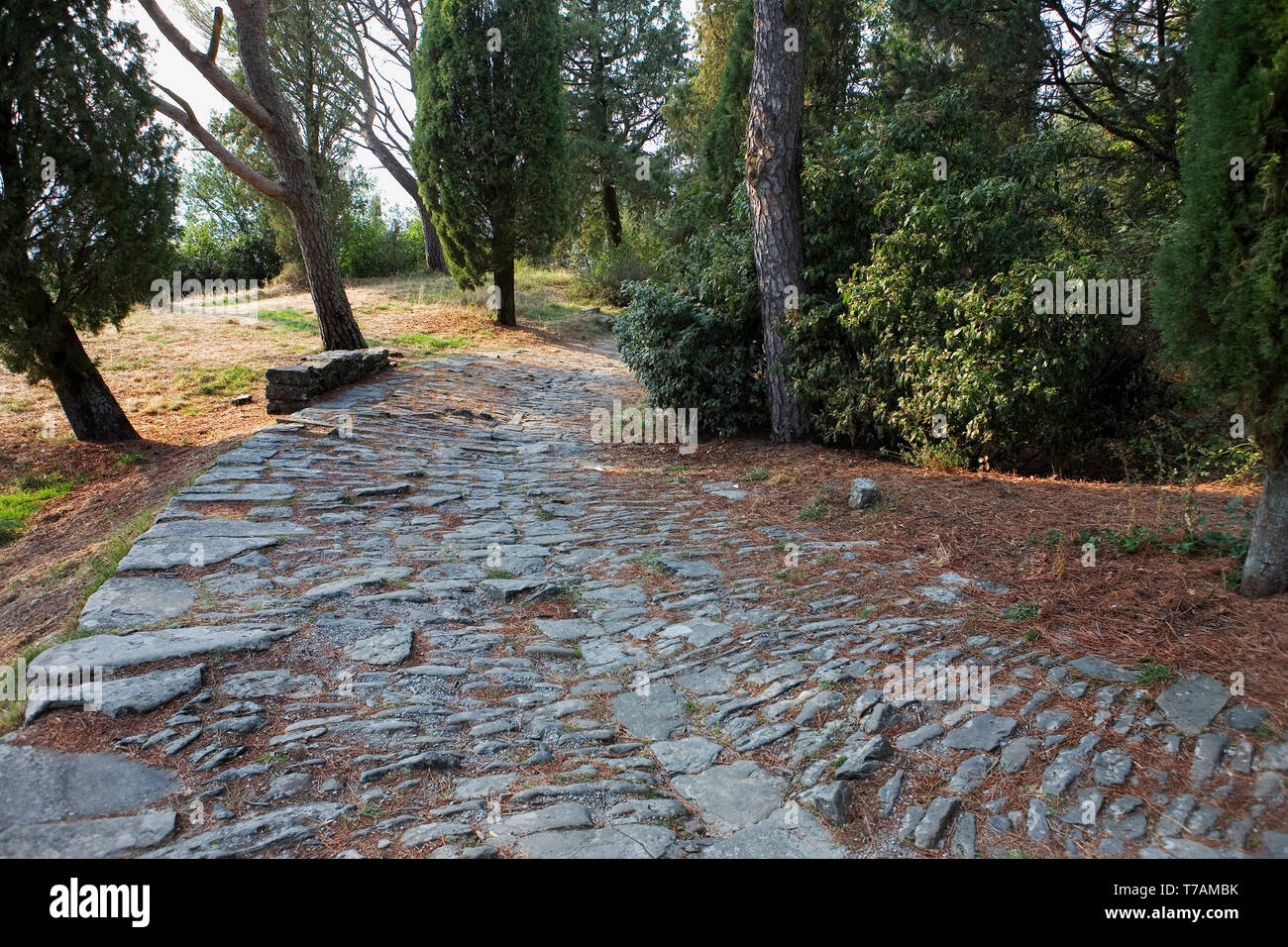 The pilgrims' path to the sanctuary of the Basilica di Santa Margherita ...