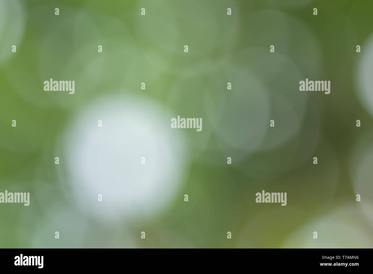 Bokeh background From natural light Stock Photo - Alamy