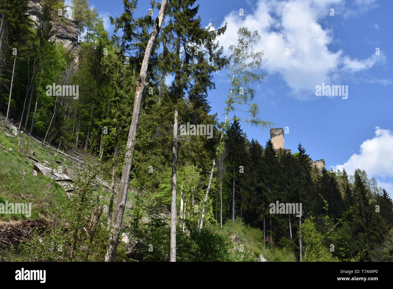 Kraig hi-res stock photography and images - Alamy