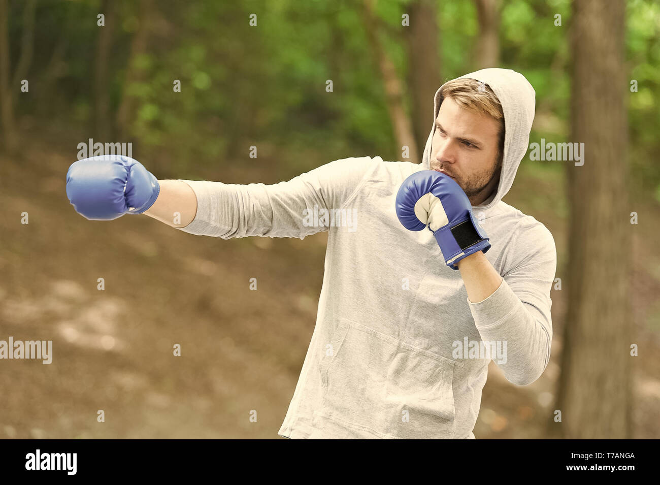 Sharpen defending skill. Sportsman concentrated training boxing gloves ...