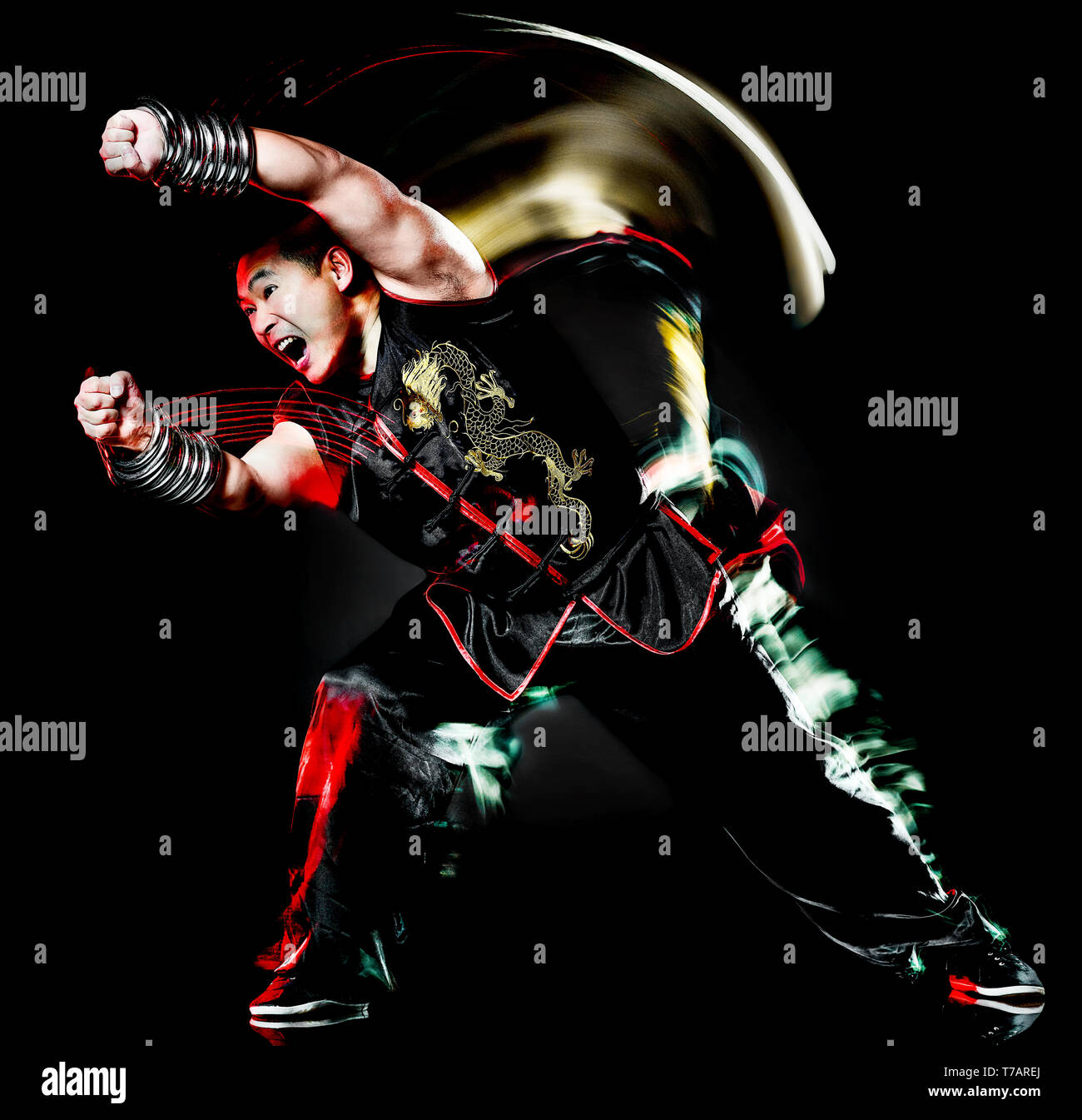 wushu chinese boxing kung fu Hung Gar fighter isolated man isolated on ...