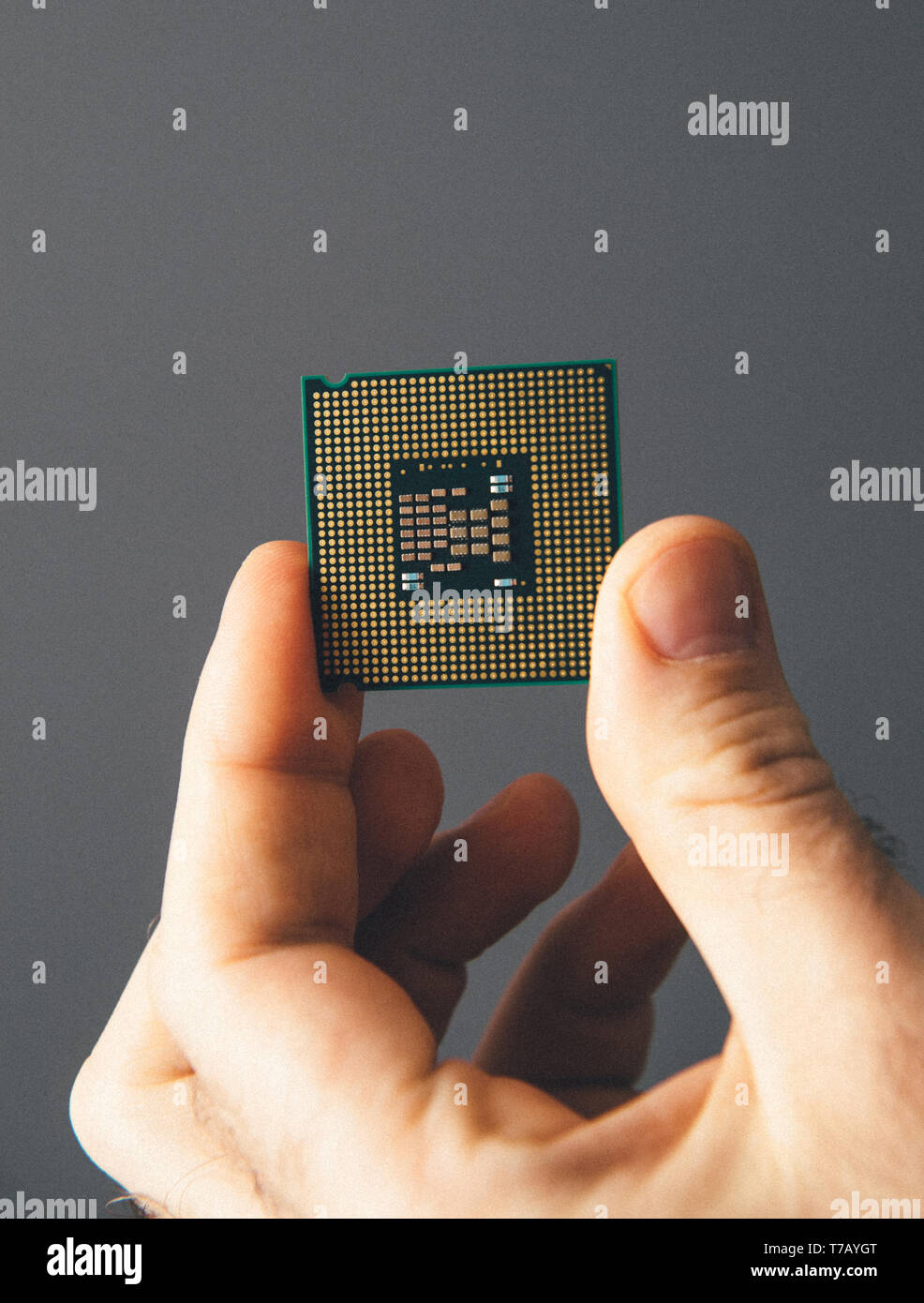 Male IT professional holding in hand new powerful CPU Central ...