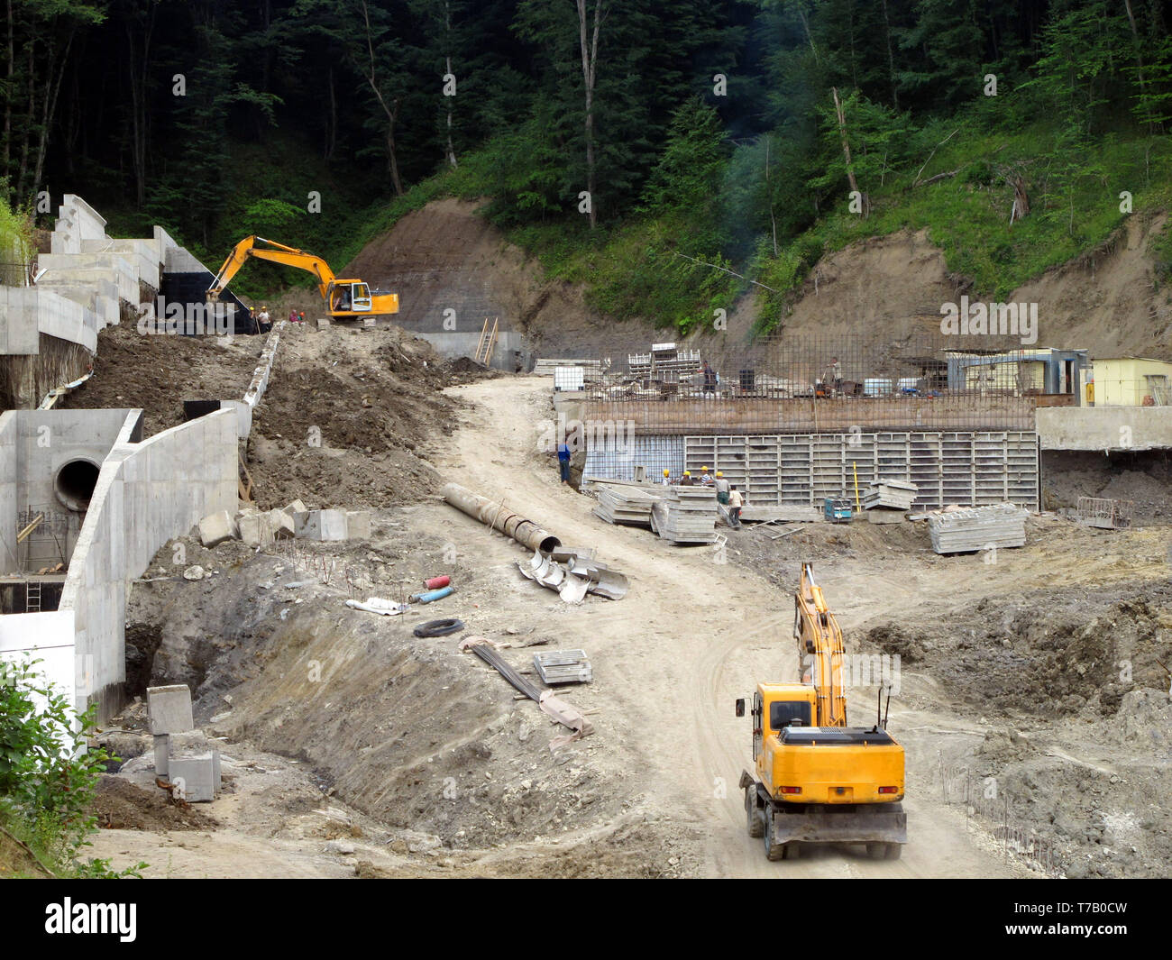 Builders pave the way through the forest. Construction equipment paves ...