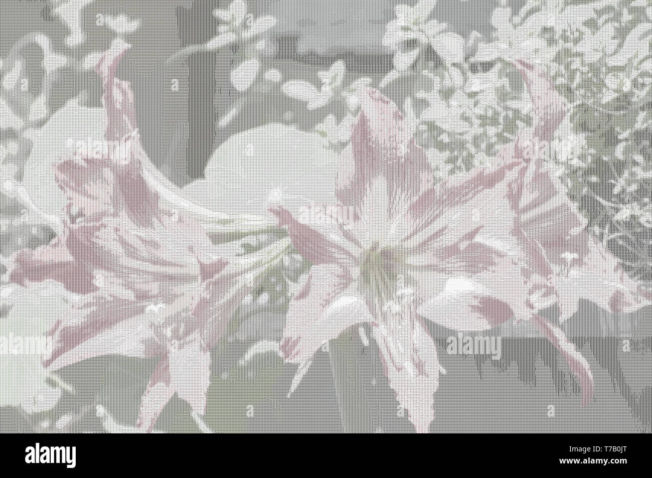 Ascii art graphics hi-res stock photography and images - Alamy