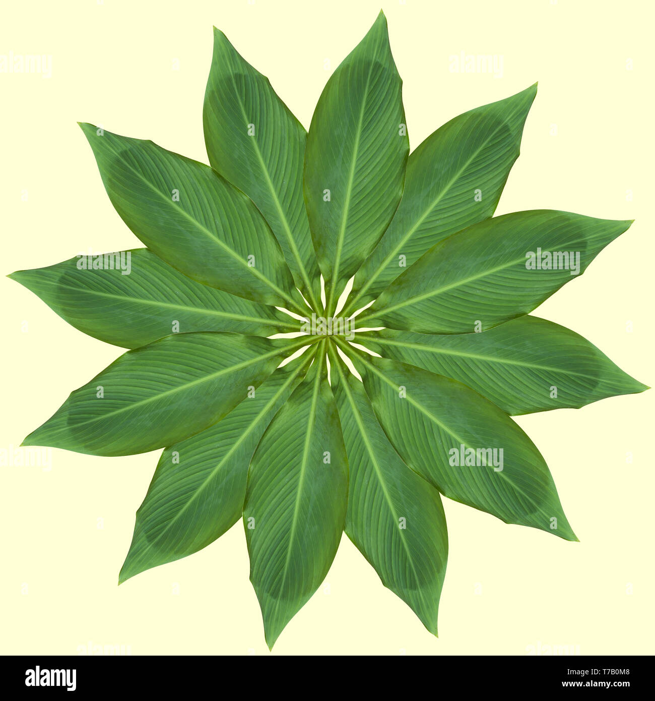 Repetitive circular design hi-res stock photography and images - Alamy