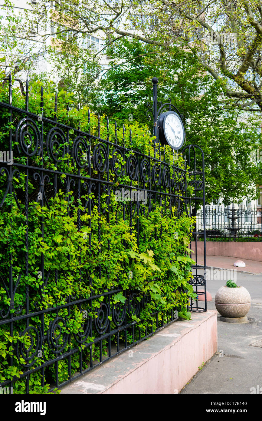 Beautiful green hedge, fence with plants in the springtime european ...