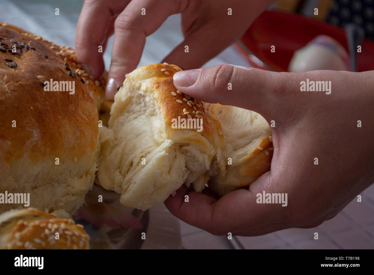 Human hand breaking egg hi-res stock photography and images - Alamy