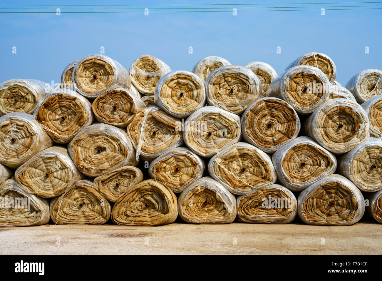 Plastic agriculture hi-res stock photography and images - Alamy