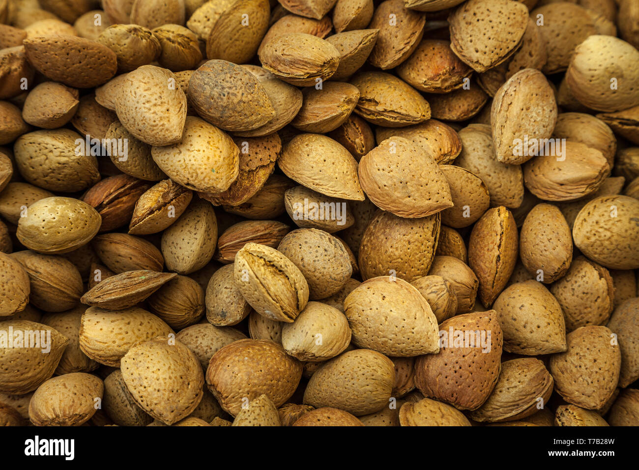 Hard shell fruit hi-res stock photography and images - Alamy