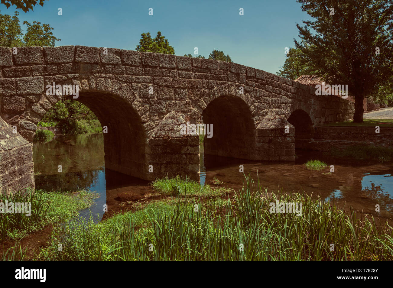 Old Roman stone bridge over the Sever River with green plants on the ...