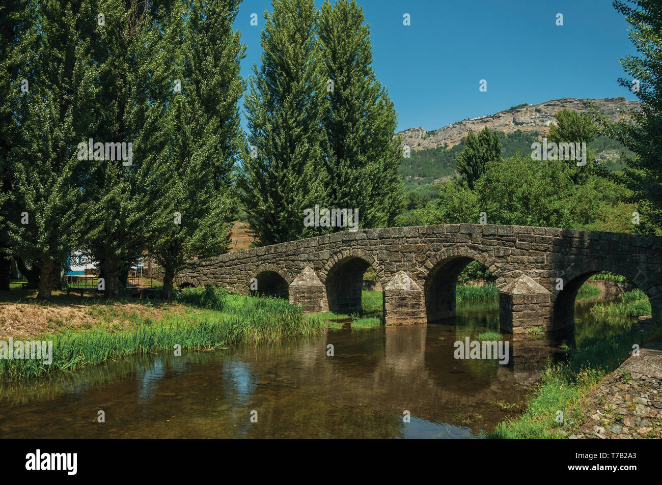 Old Roman stone bridge still in use over the Sever River among trees at ...