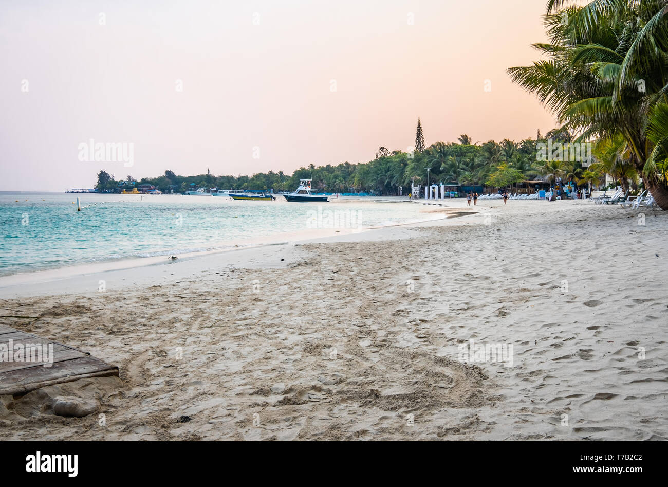 Few people on the beach hi-res stock photography and images - Alamy