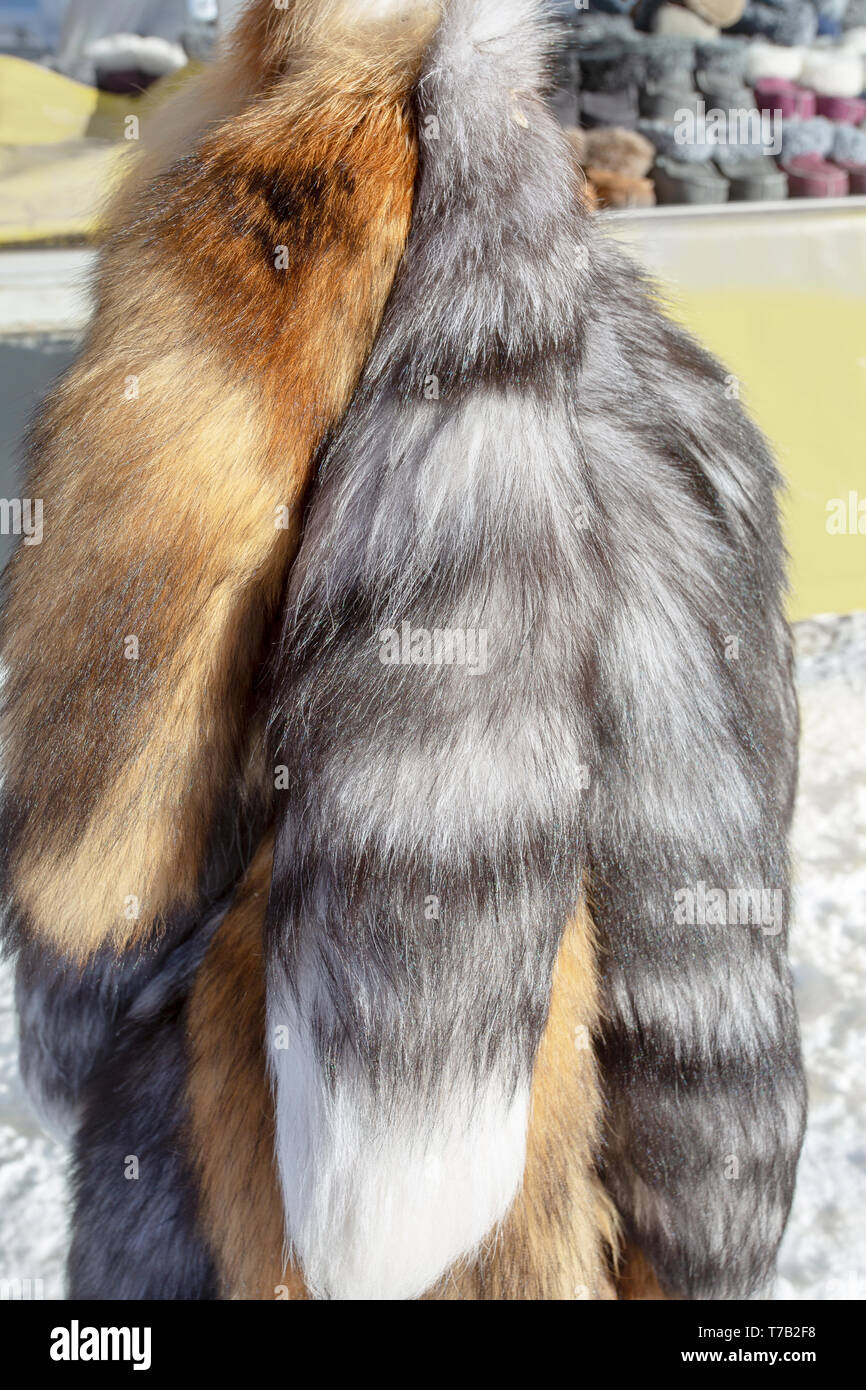 tail of fox prepared for a sale on village market Stock Photo - Alamy