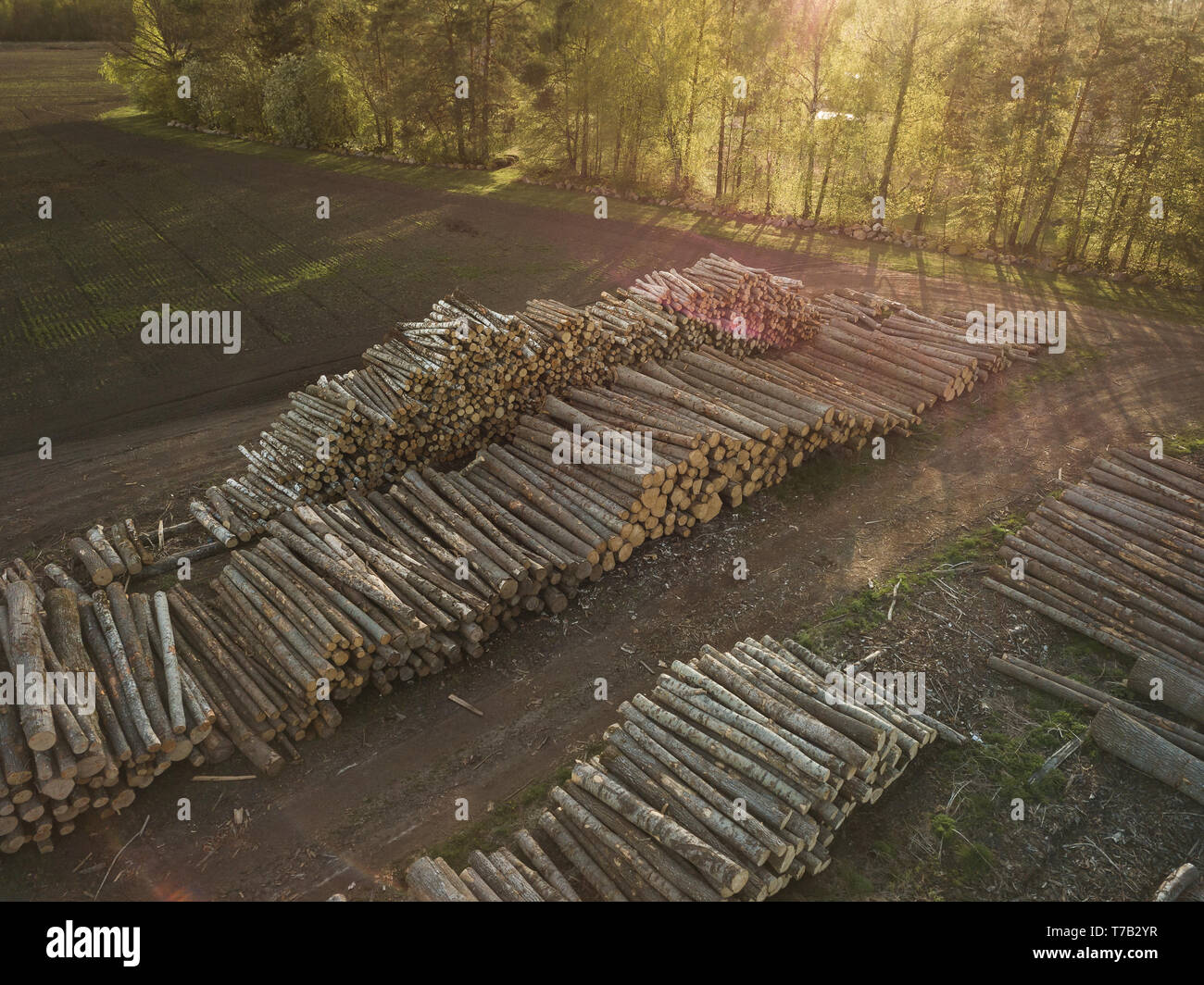 Wood logs stacked ready to be processed Stock Photo - Alamy