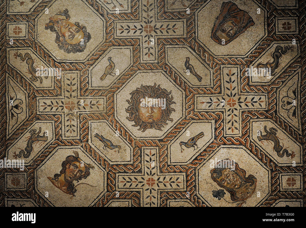 Roman mosaic medusa hi-res stock photography and images - Alamy