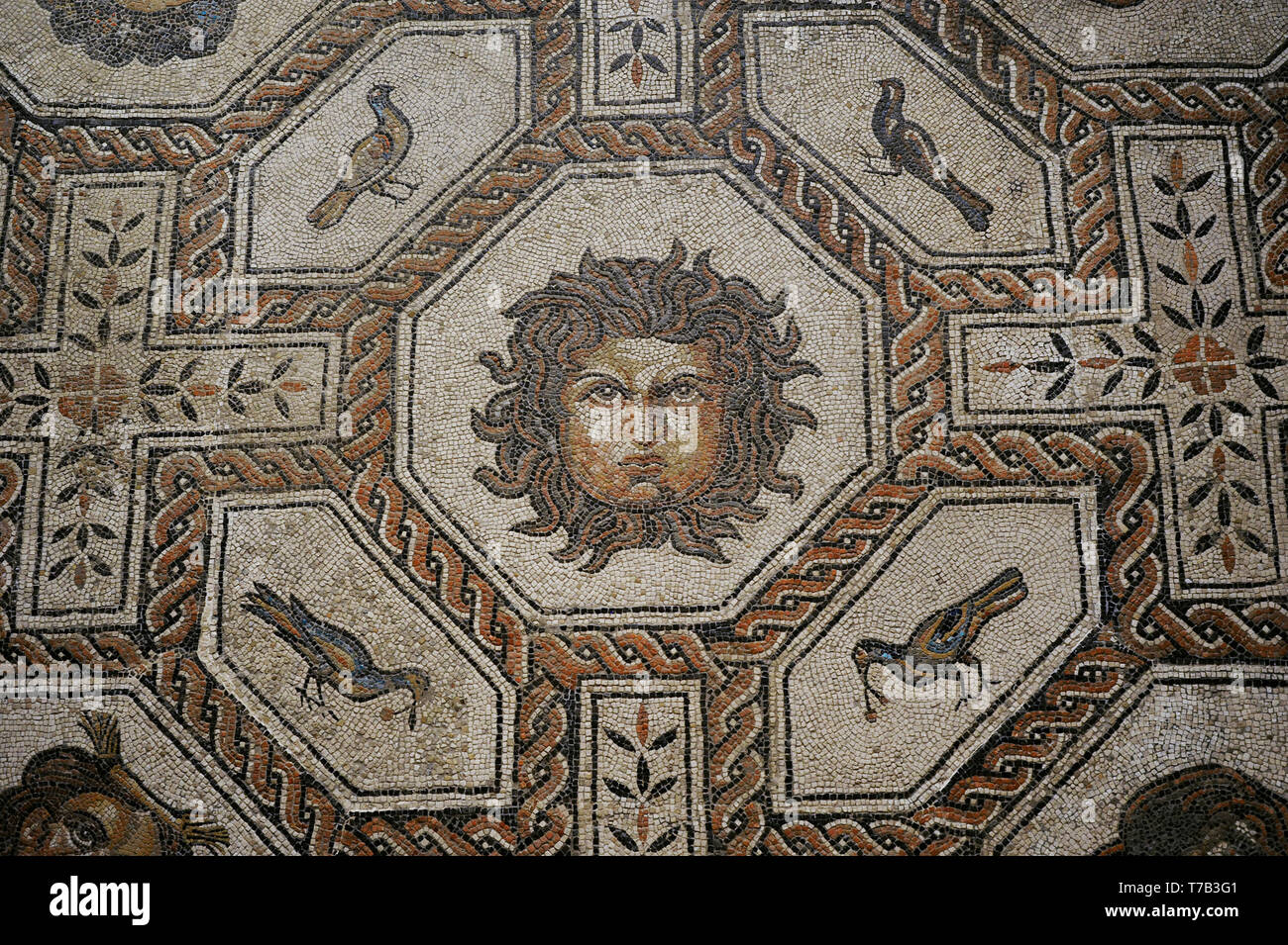 Roman mosaic medusa hi-res stock photography and images - Alamy