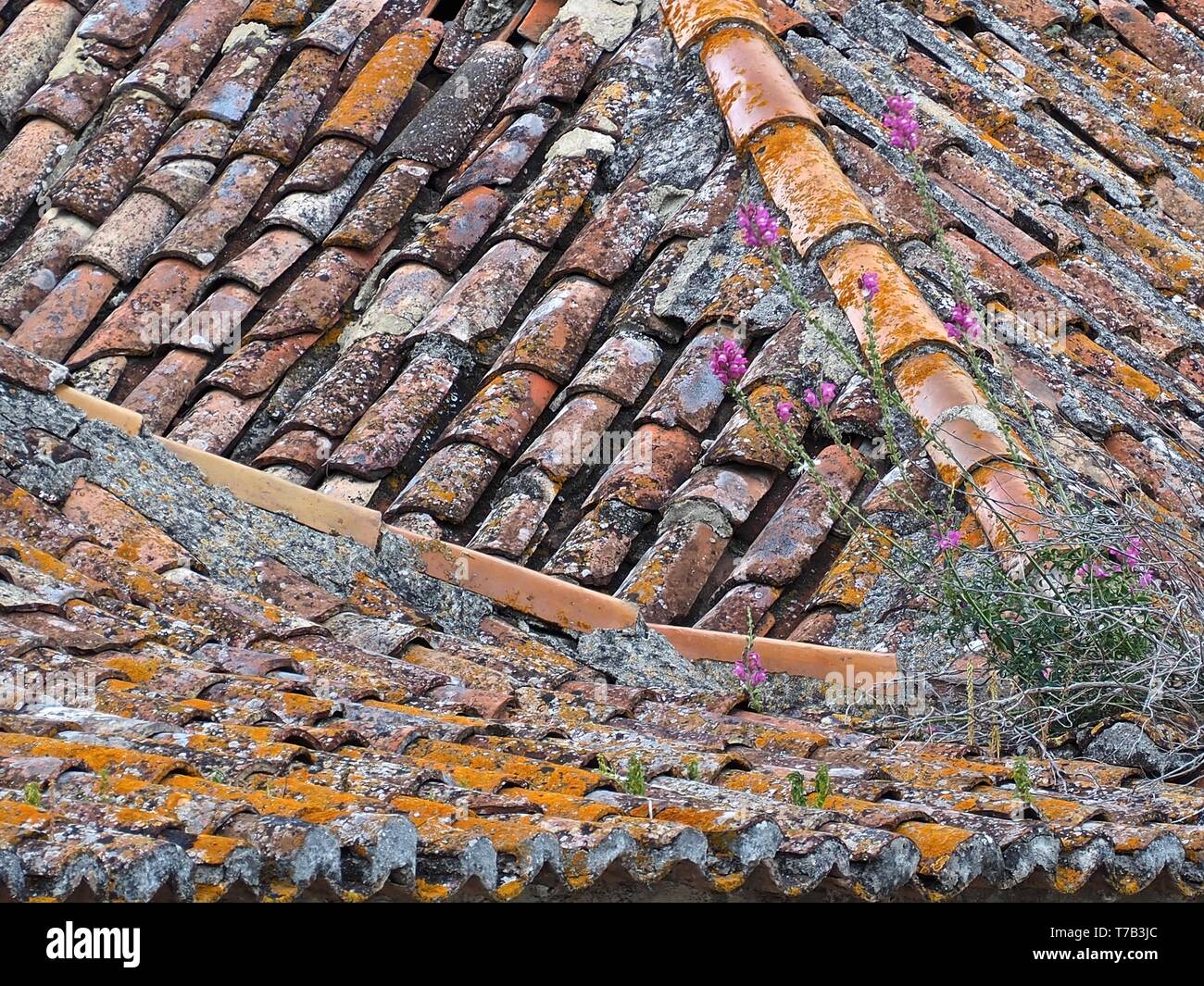 Colorful abstract roof decoration pattern hi-res stock photography and ...