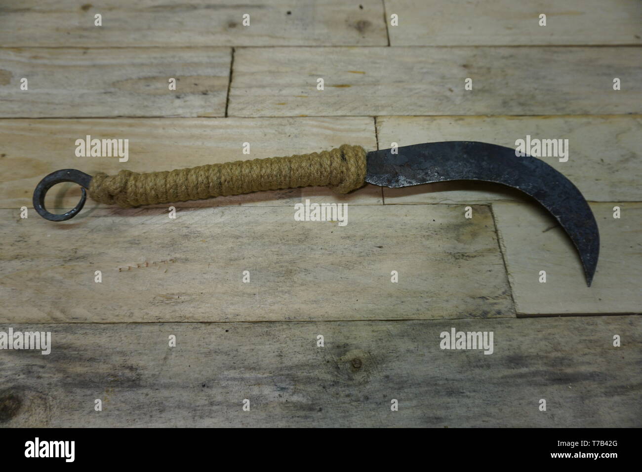 Roman sickle hi-res stock photography and images - Alamy