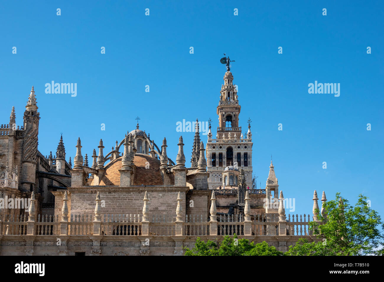 The Seville Cathedral Stock Photo - Alamy