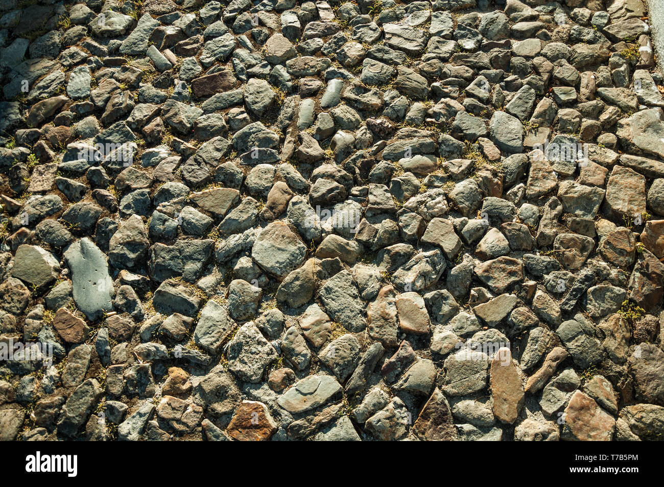 Pebble pattern on sandstone rock hi-res stock photography and images ...
