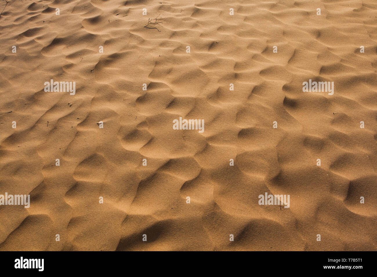 Sand Ripples, Pictured Rocks National Lakeshore, Michigan Stock Photo ...