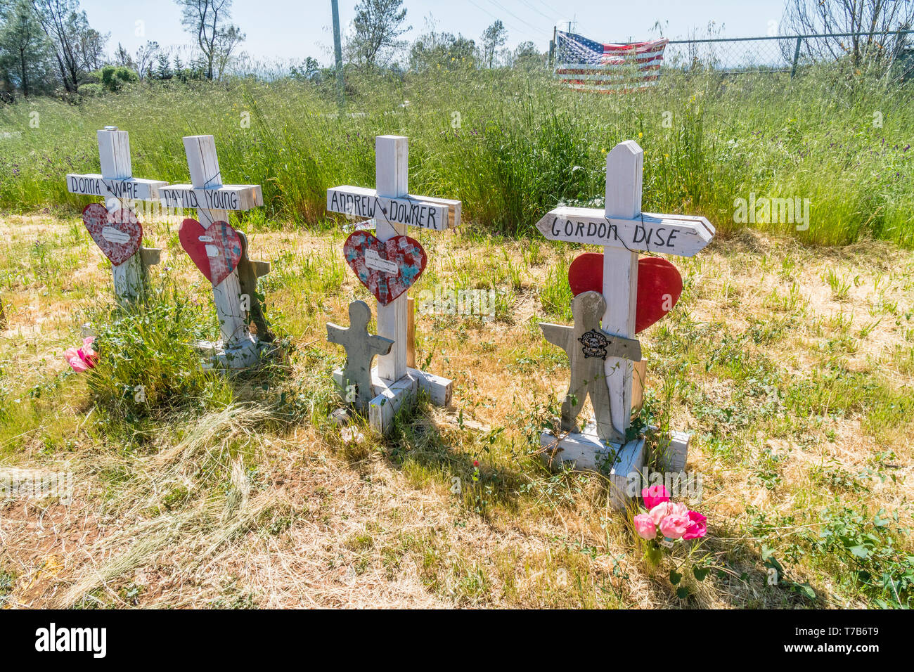 86 crosses were planted to memorialize the victims of the Camp Fire ...
